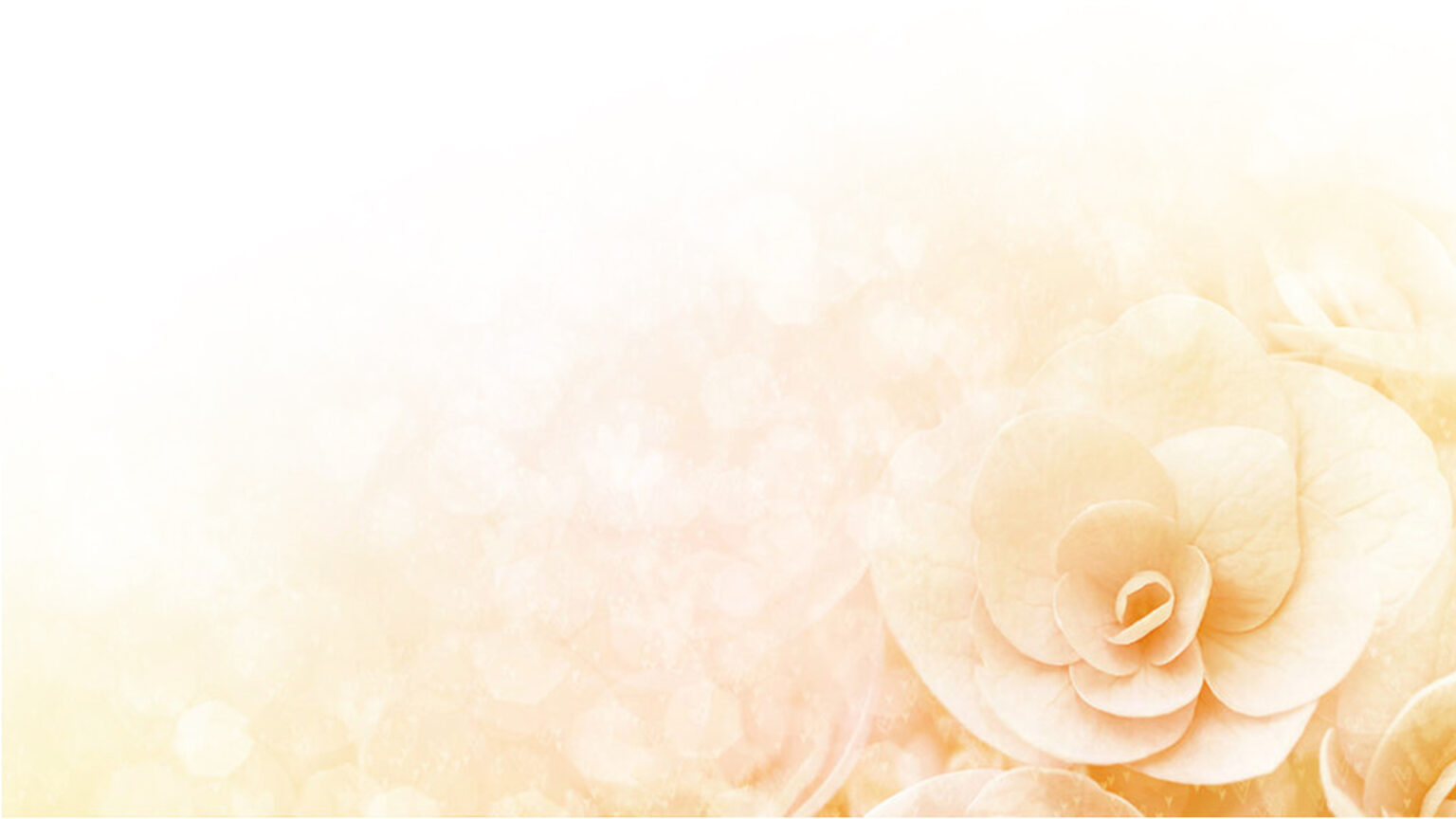 Iris Nails – Quality Nail Salon